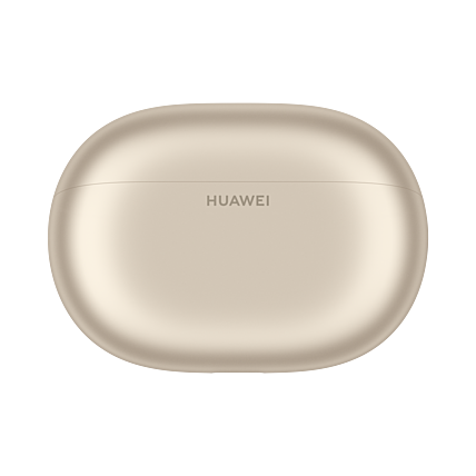 HUAWEI FreeBuds Pro 5