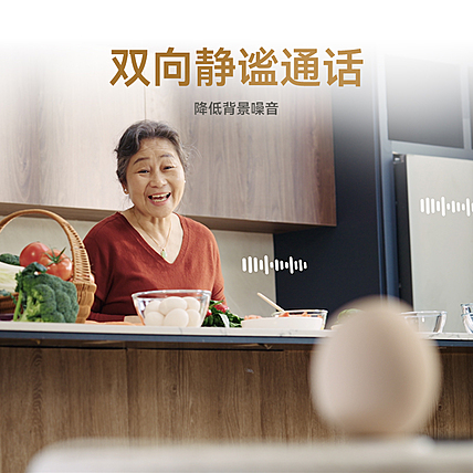 海雀智能摄像头 雀蛋Max